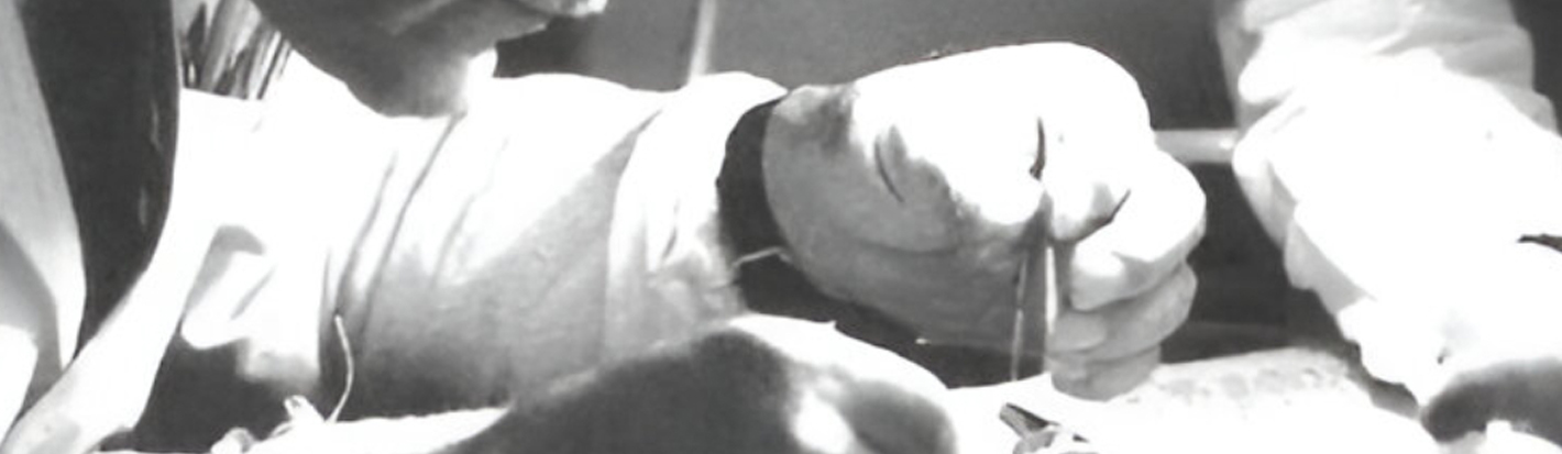 Metodo Di Bella: cos’è, come funziona e quali sono i componenti della terapia